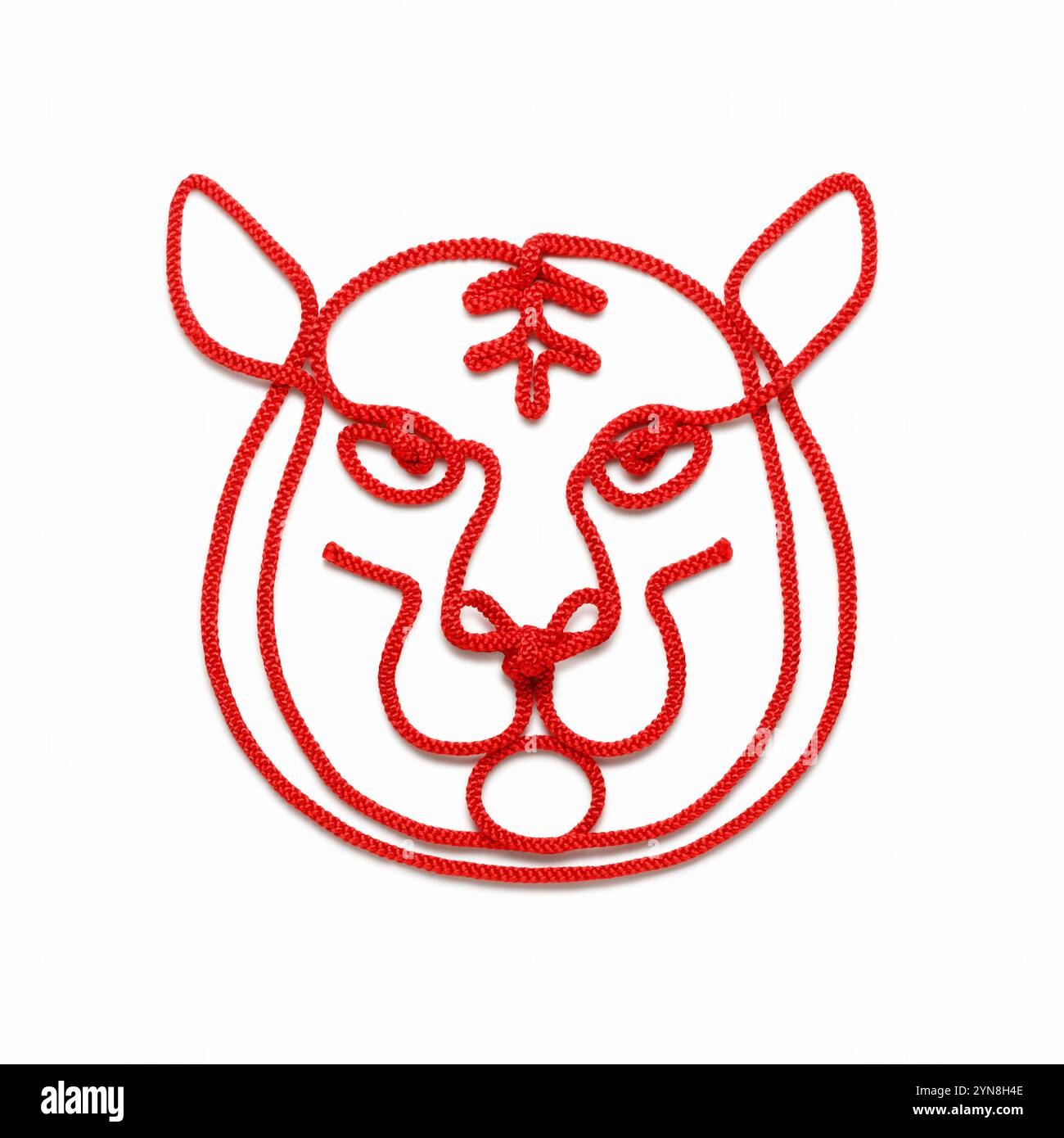 Image of a tiger made with red string Stock Photo - Alamy