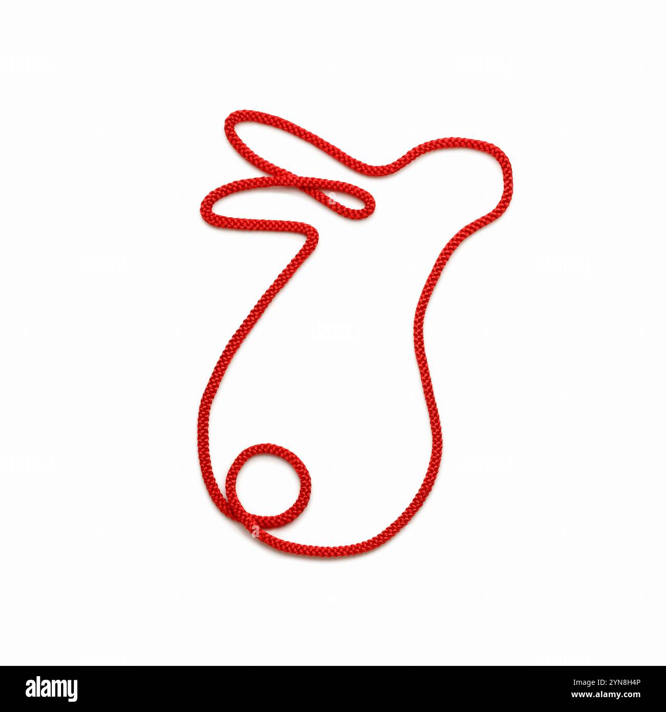 Rabbit face studio hi-res stock photography and images - Alamy