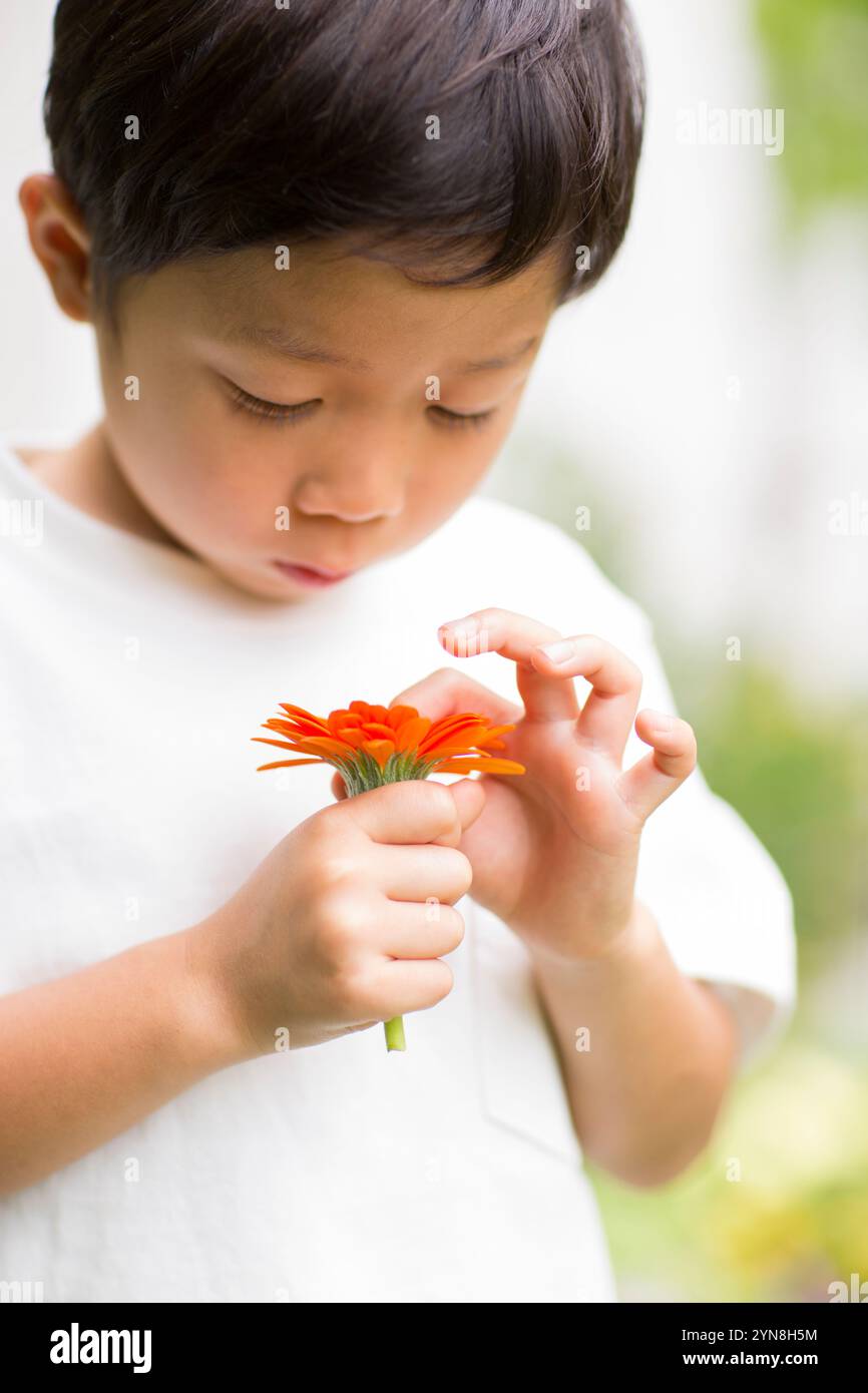 Child observing flowers in the garden Stock Photo - Alamy