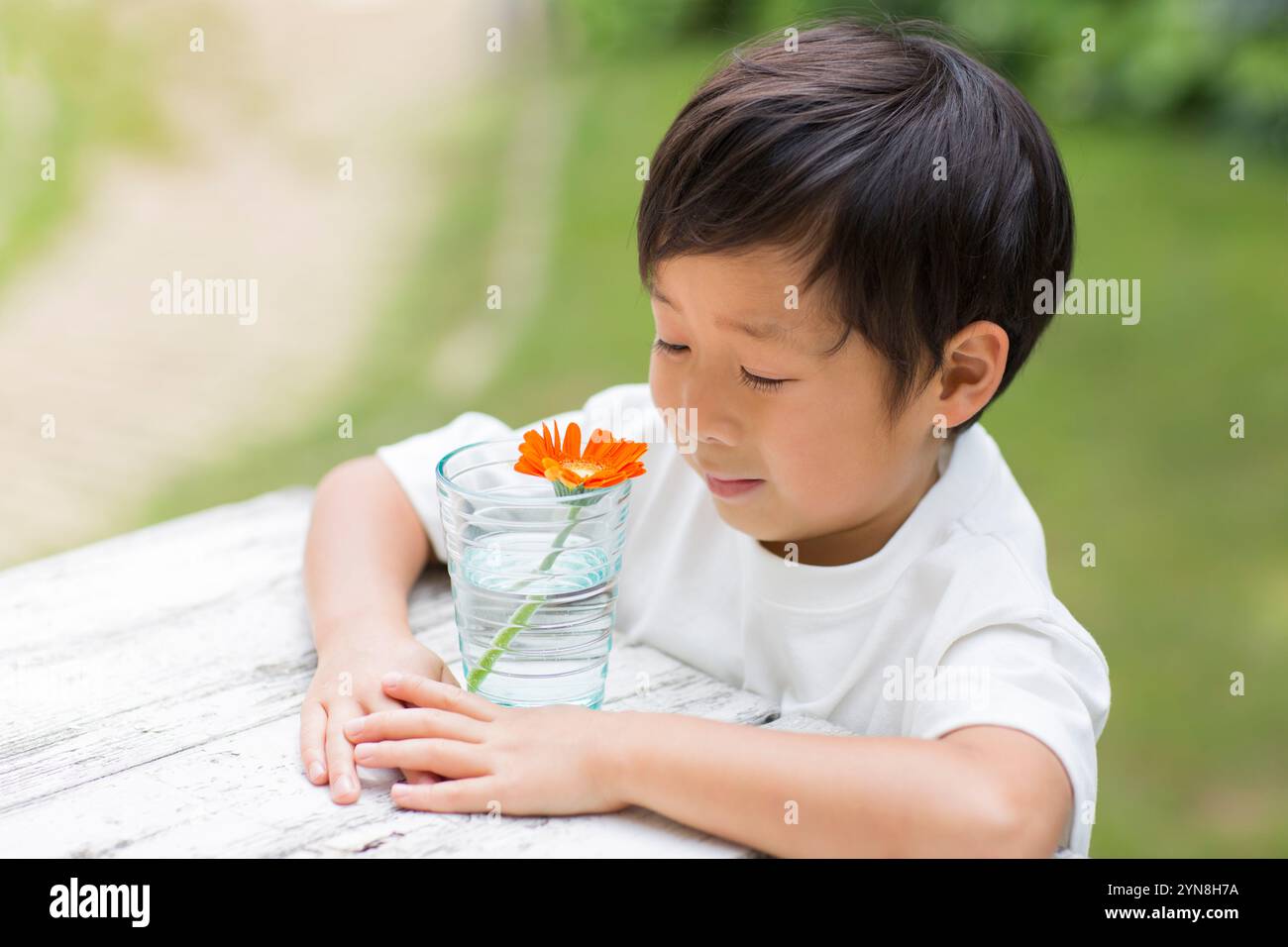 Smiling child observing a cup of flowers in the garden Stock Photo - Alamy