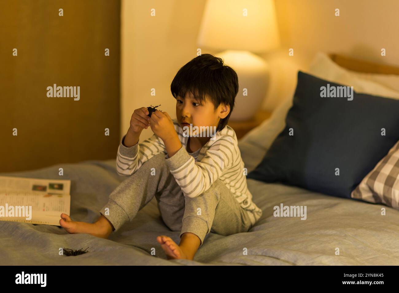 Boy observing insect toy Stock Photo - Alamy Boy observing insect toy Stock Photo - Alamy