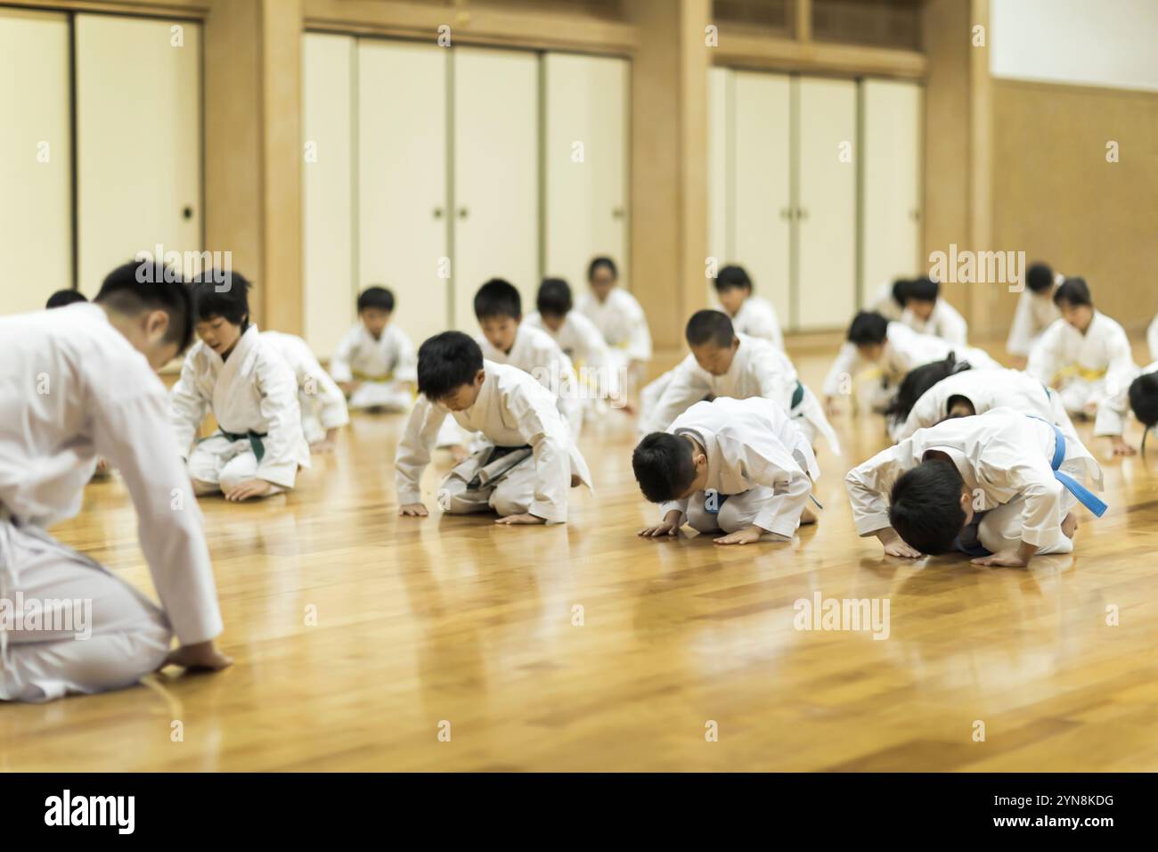 Children practising karate Stock Photo - Alamy