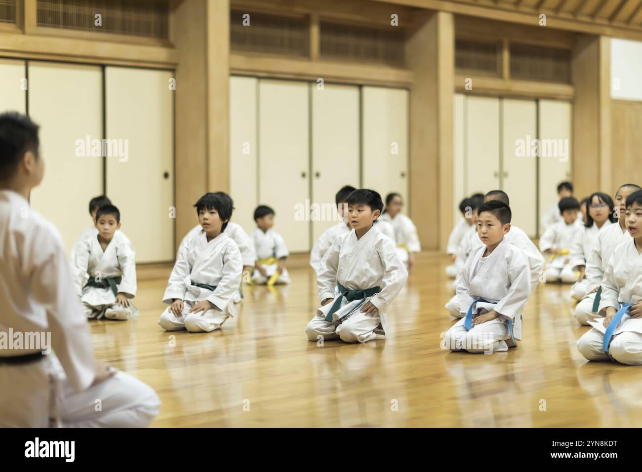 Children practising karate Stock Photo - Alamy