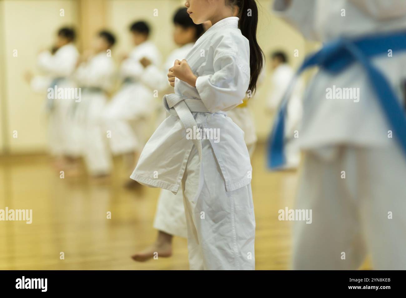 Children practising karate Stock Photo - Alamy