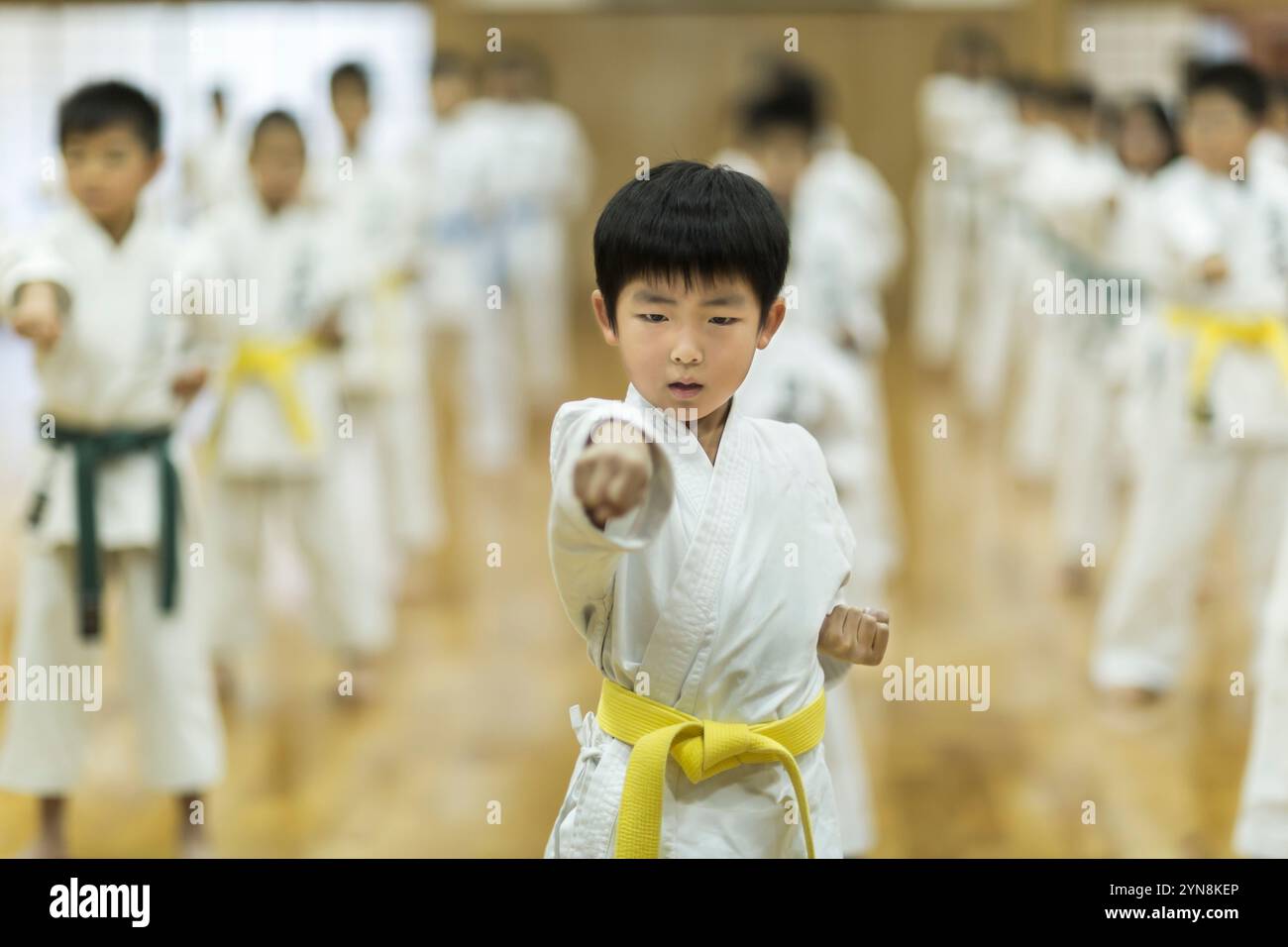 Boys practising karate Stock Photo - Alamy