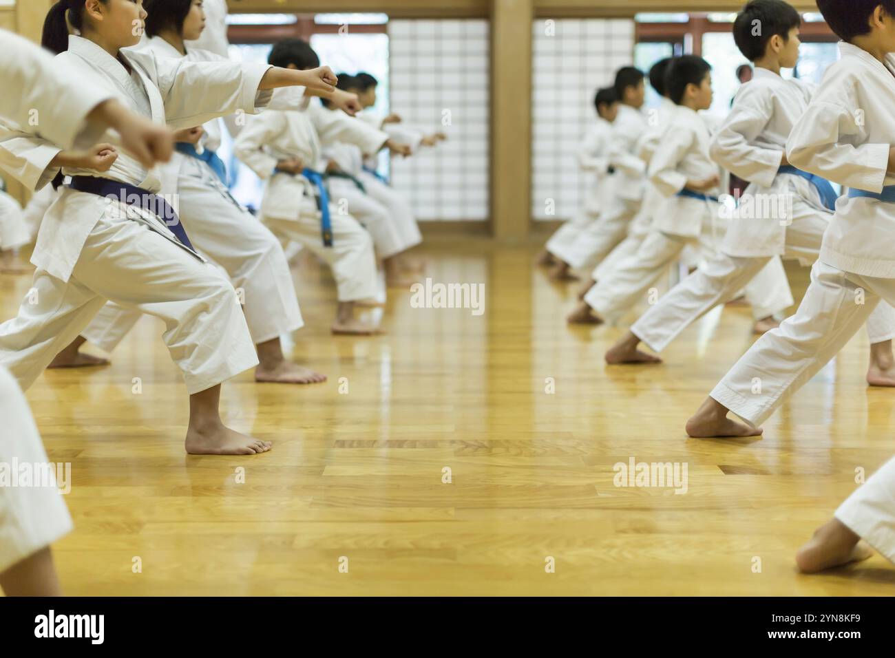 Children practising karate Stock Photo - Alamy