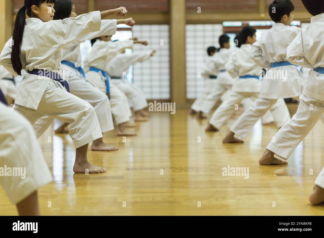Children practising karate Stock Photo - Alamy