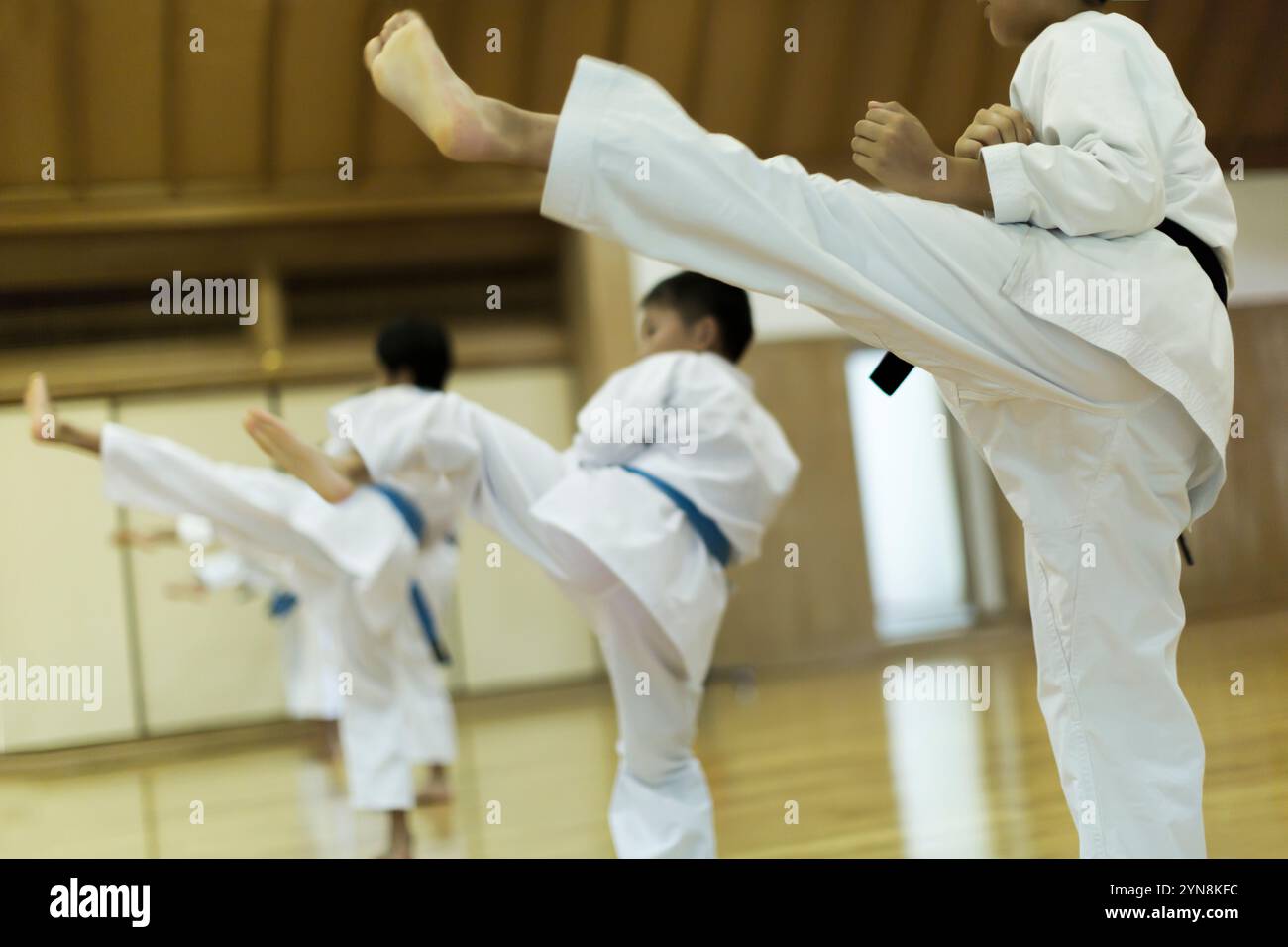 Children practising karate Stock Photo - Alamy