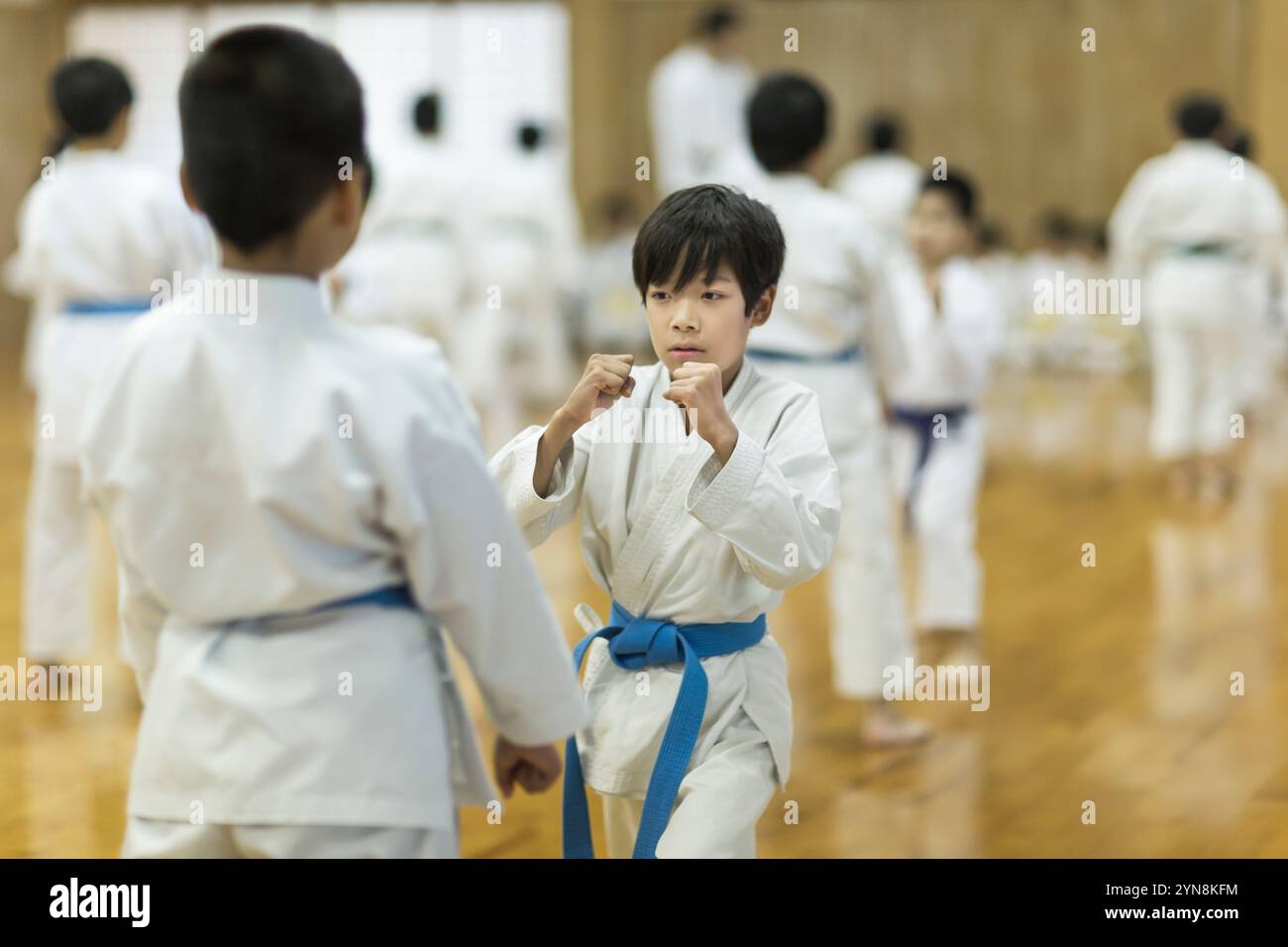 Children practising karate Stock Photo - Alamy