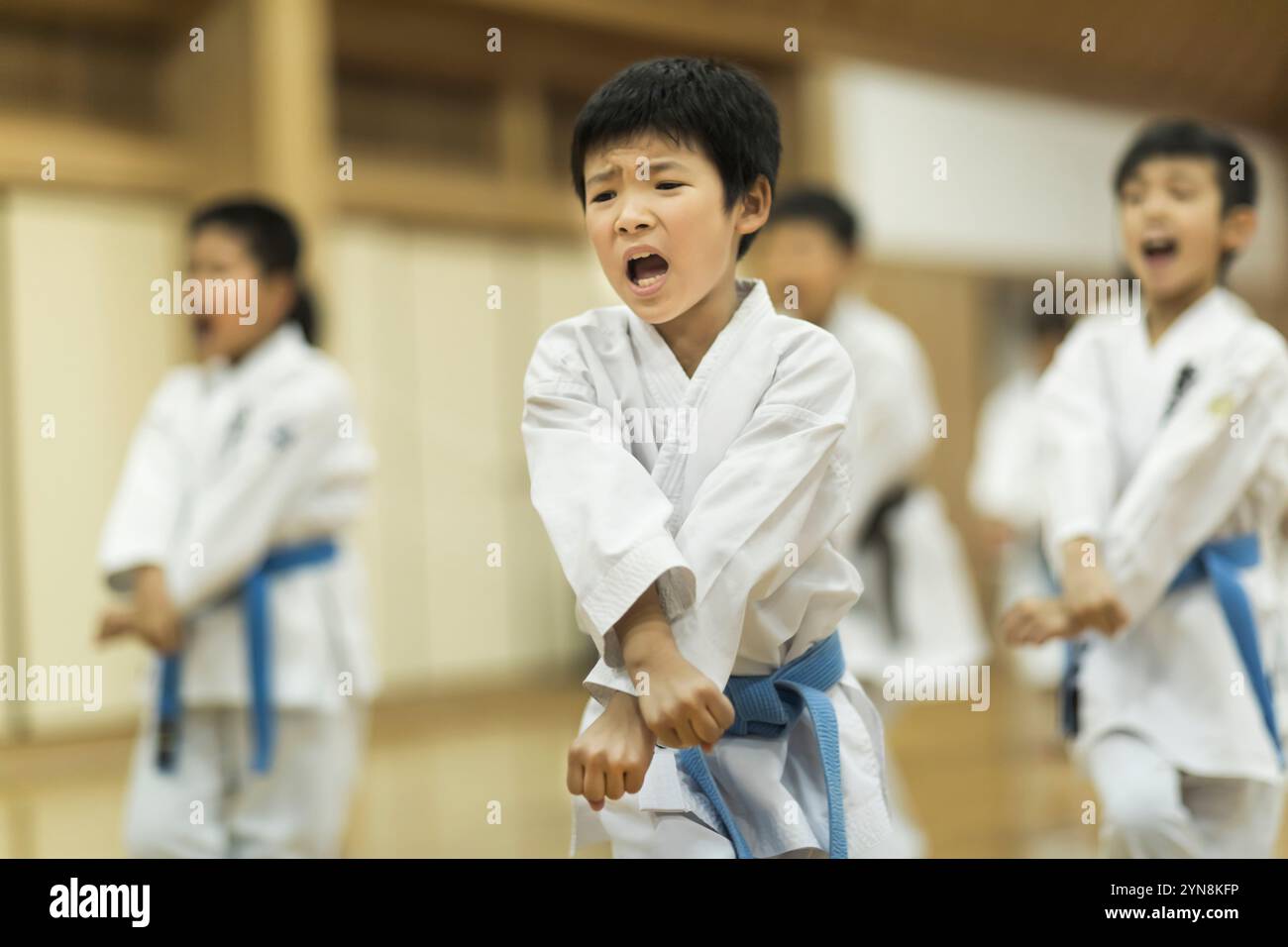 Boys practising karate Stock Photo - Alamy
