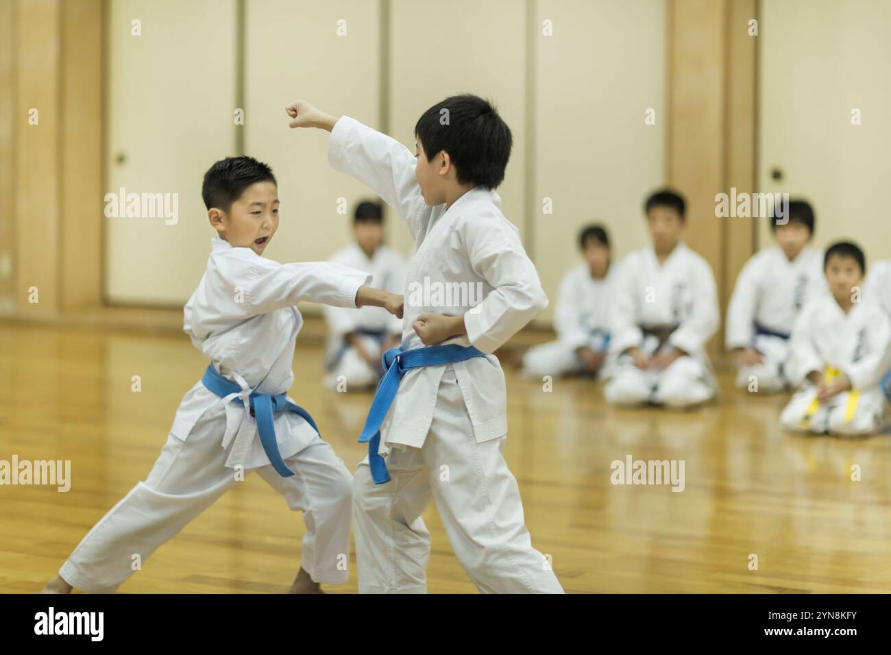 Children practising karate Stock Photo - Alamy