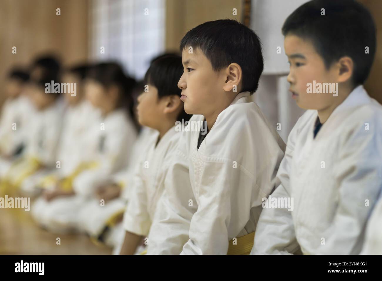 Children practising karate Stock Photo - Alamy