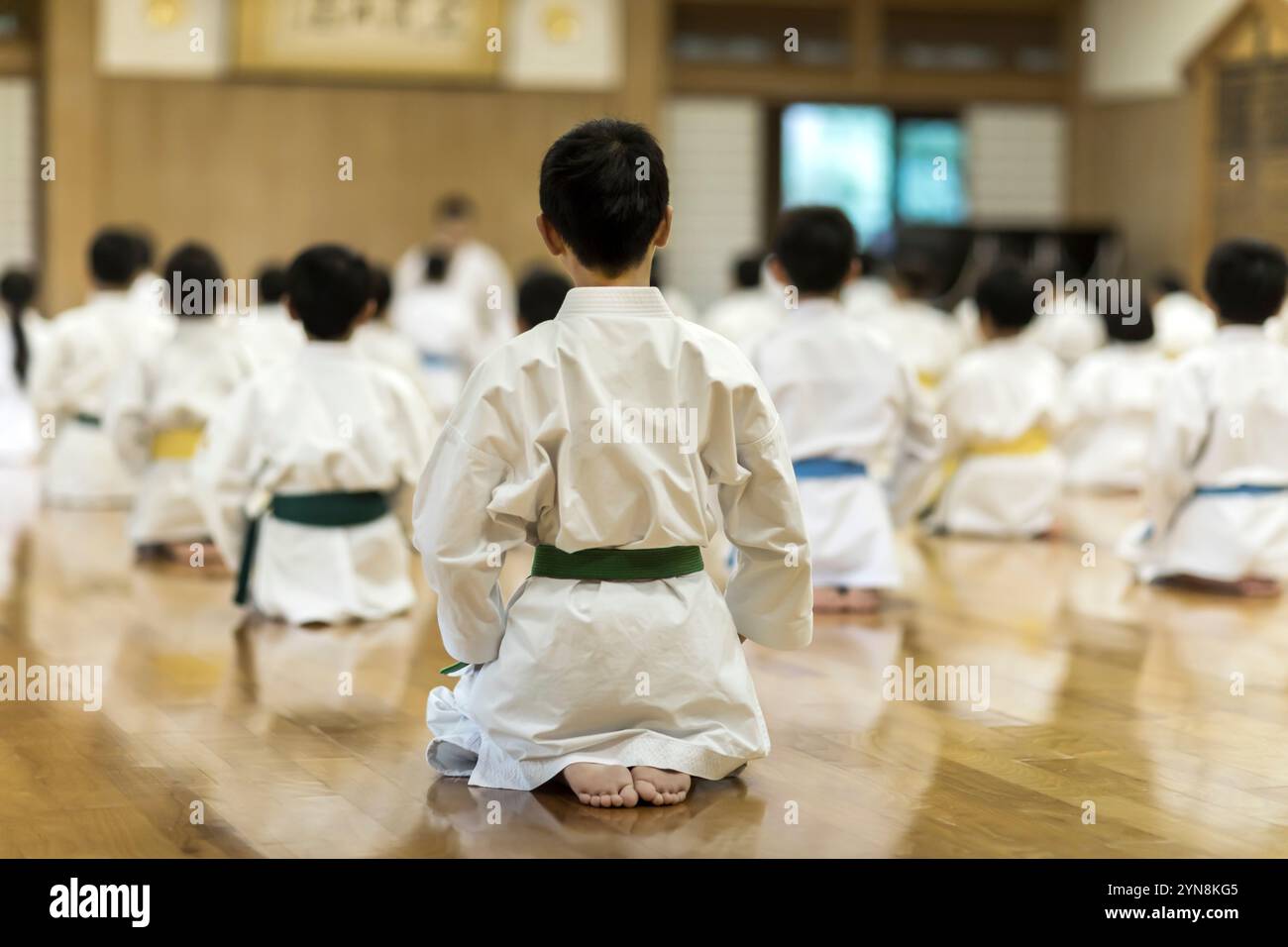 Children practising karate Stock Photo - Alamy
