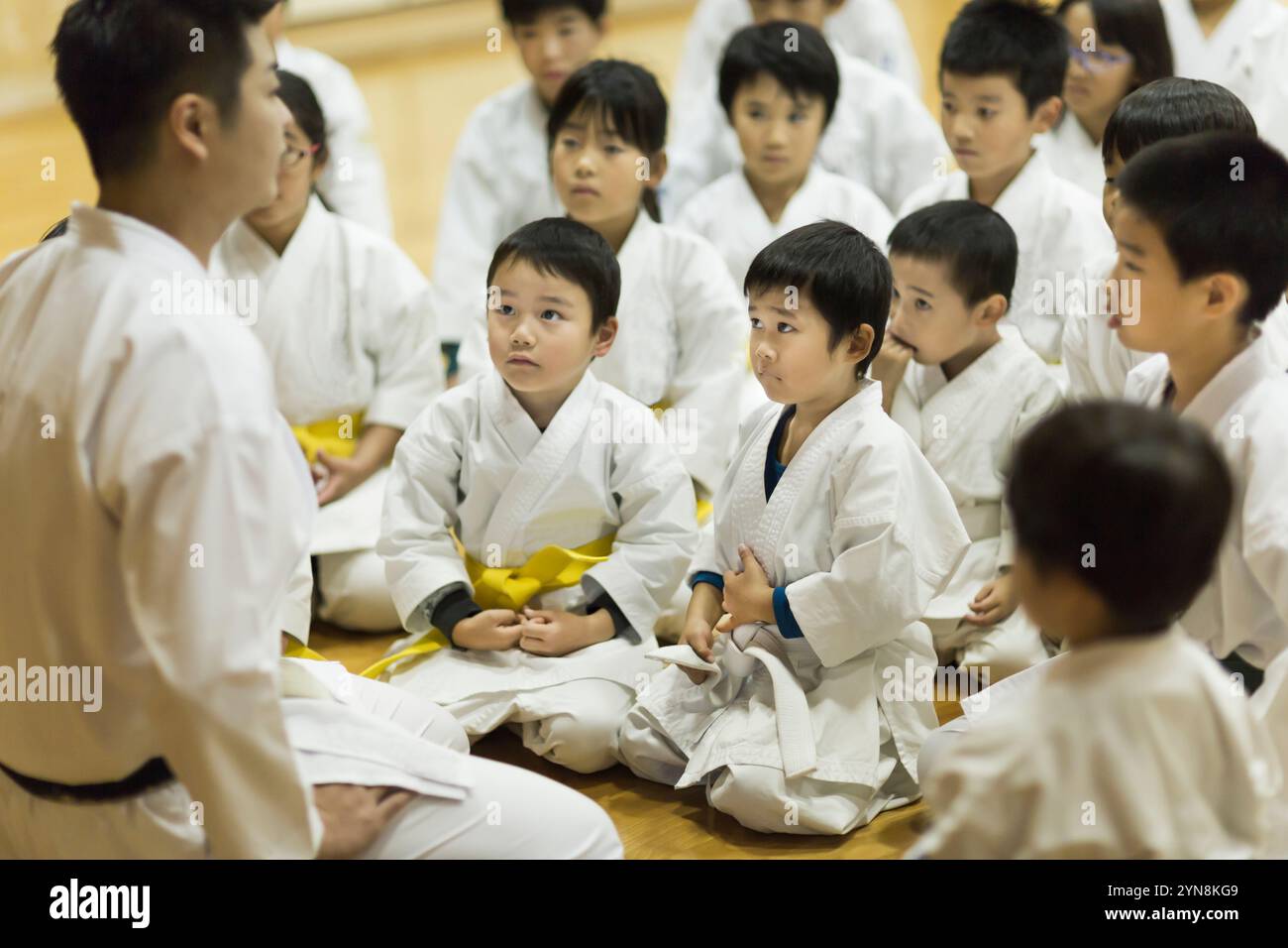 Children practising karate Stock Photo - Alamy