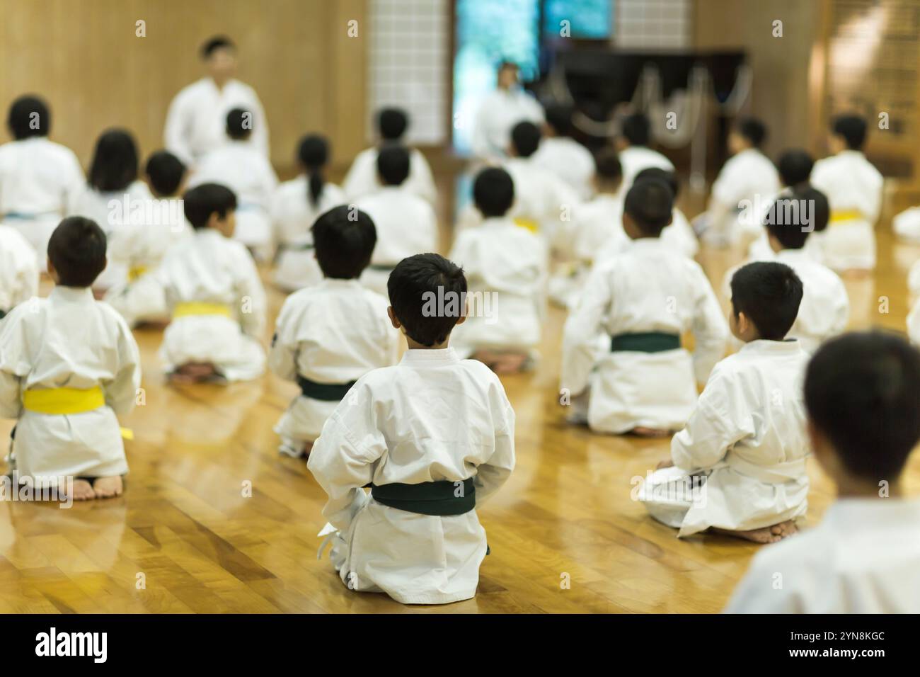 Children practising karate Stock Photo - Alamy