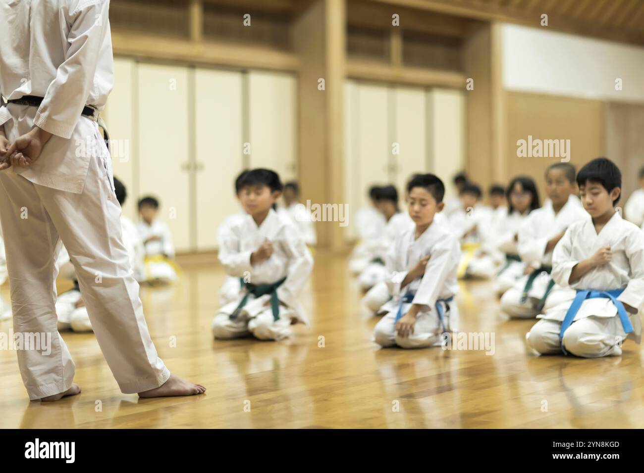 Children practising karate Stock Photo - Alamy