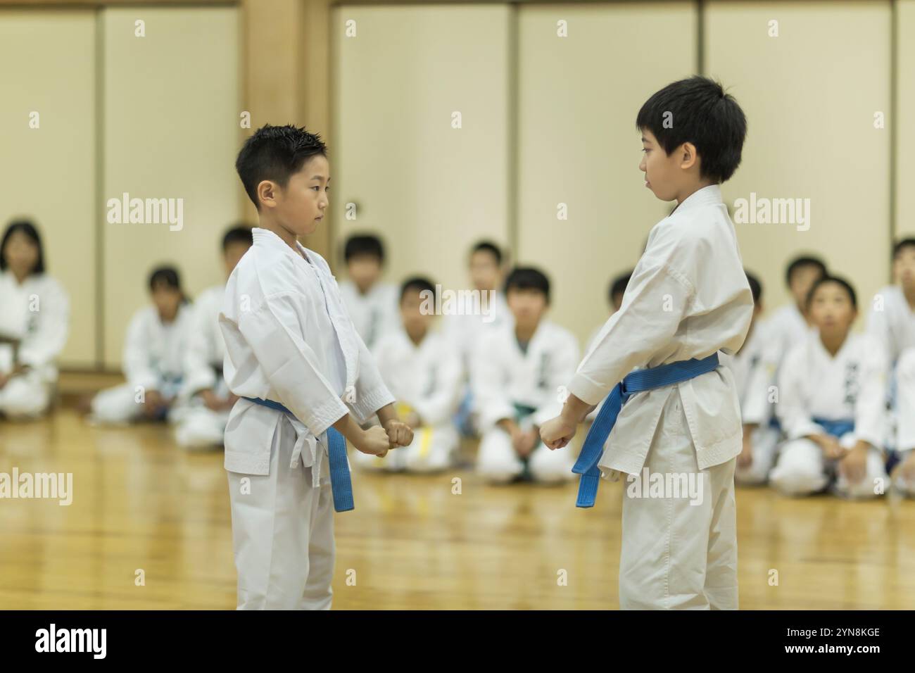 Children practising karate Stock Photo - Alamy