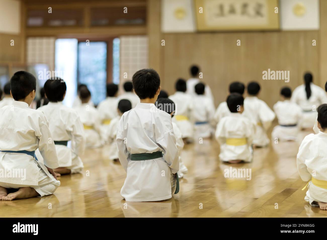 Children practising karate Stock Photo - Alamy