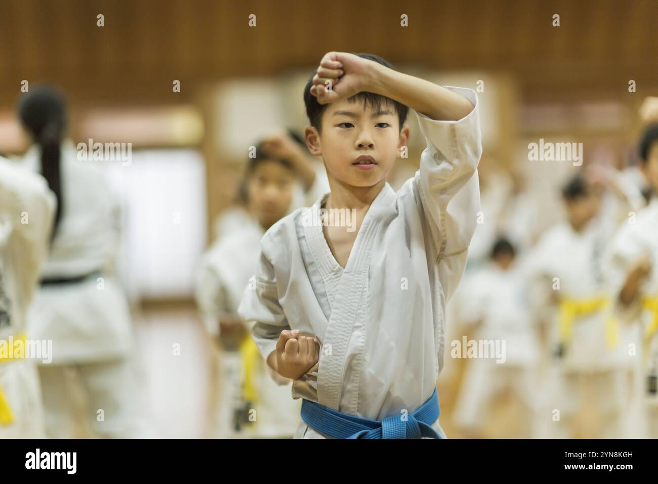 Children practising karate Stock Photo - Alamy