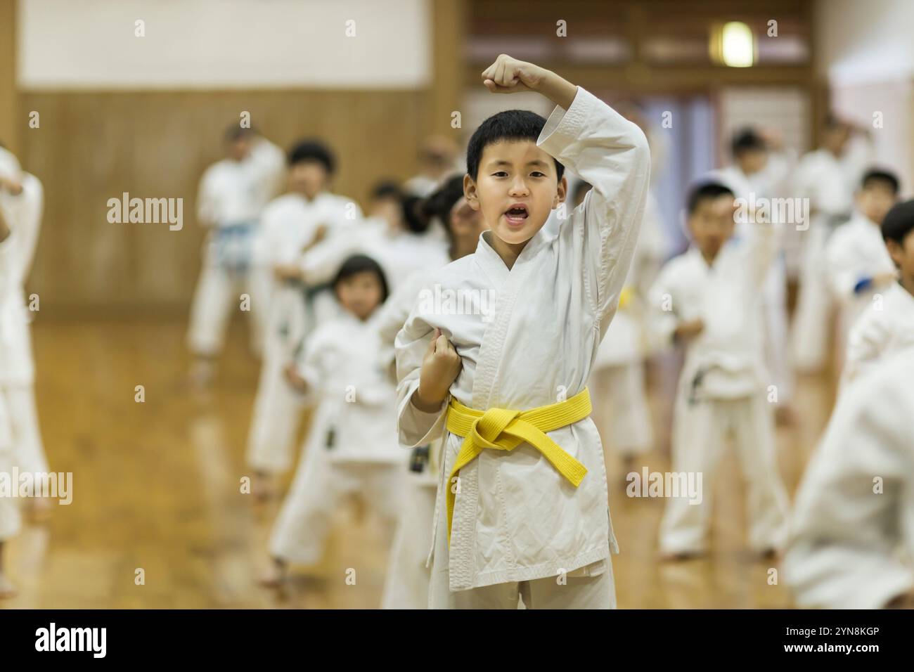 Children practising karate Stock Photo - Alamy