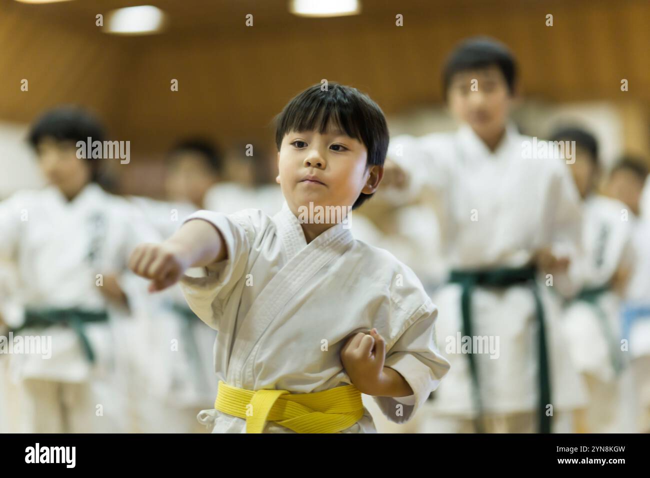 Boys practising karate Stock Photo - Alamy