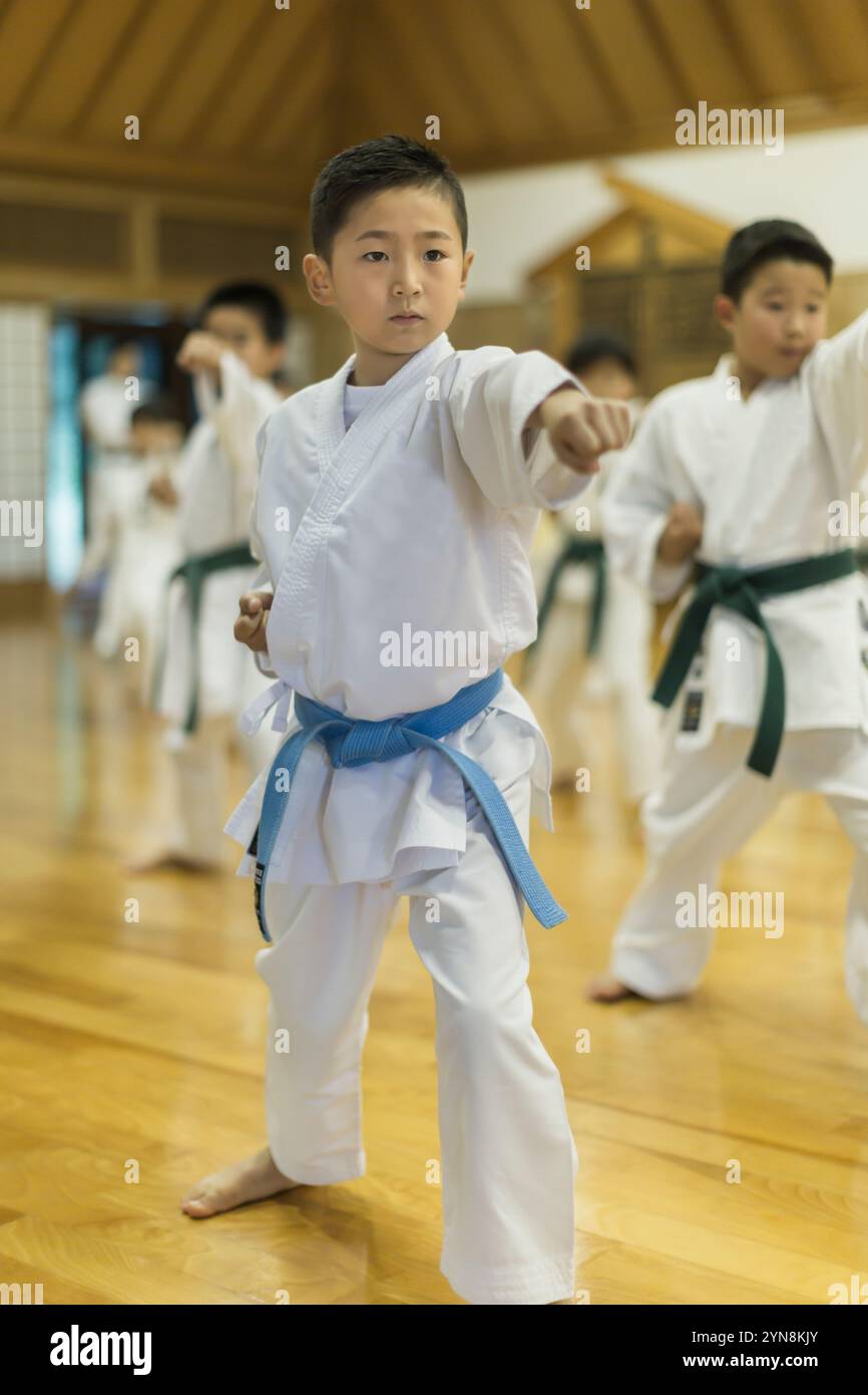 Boys practising karate Stock Photo - Alamy