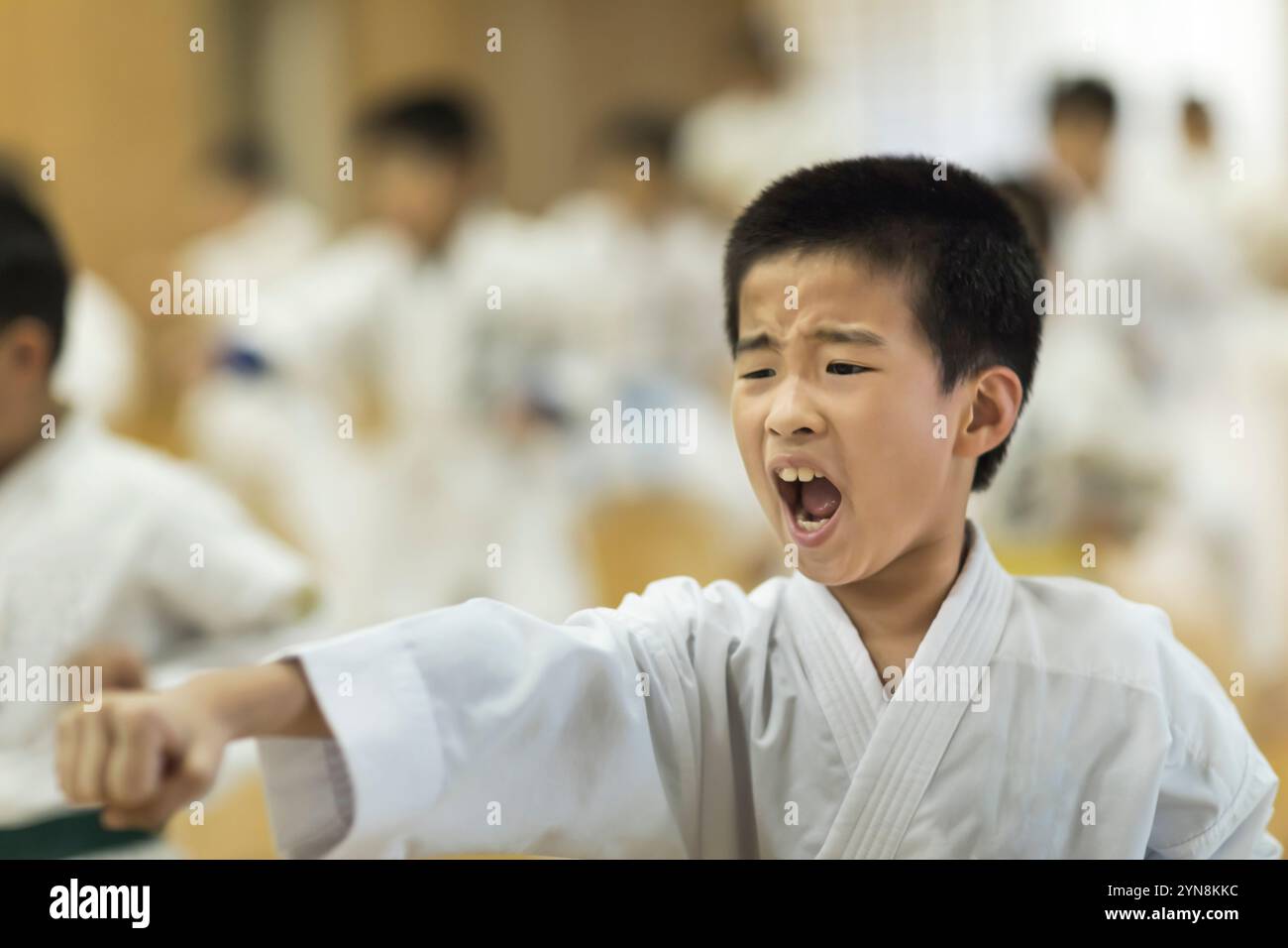 Boys practising karate Stock Photo - Alamy