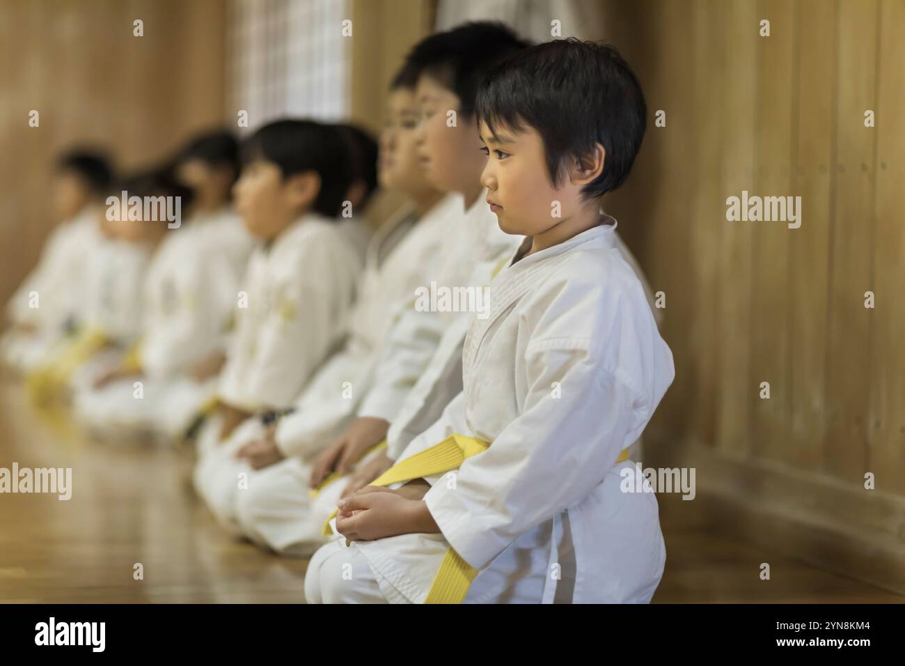 Children practising karate Stock Photo - Alamy