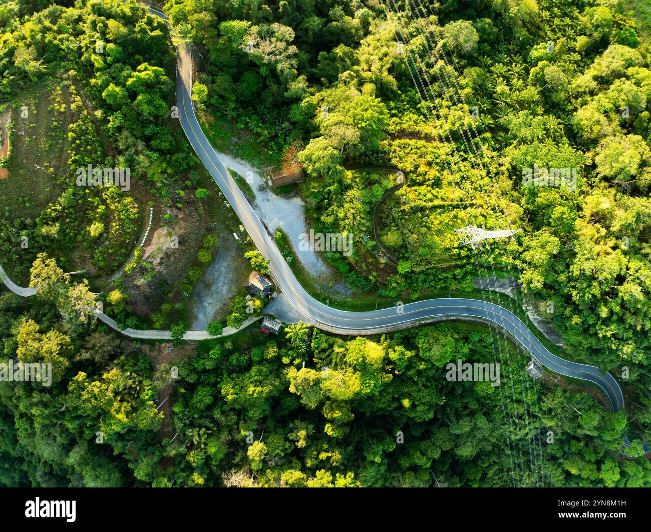 Aerial view Tropical Rainforest trees mountains,Top view green forest ...