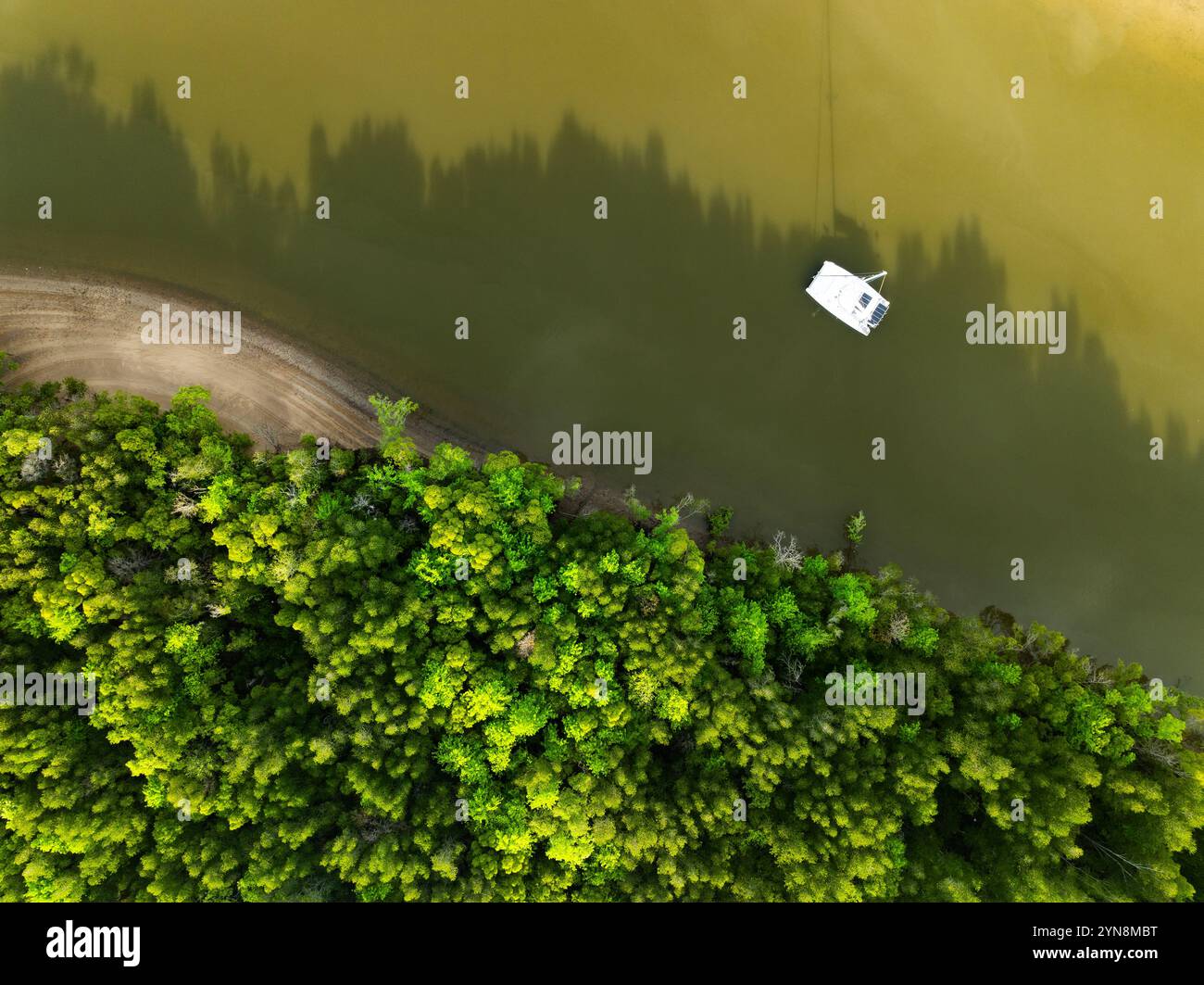 Top view amazing mangrove hi-res stock photography and images - Alamy