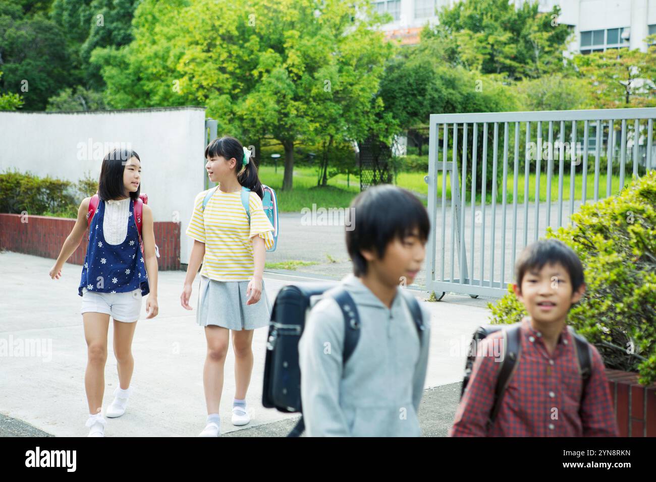 Male and female primary school students leaving the school gate Stock ...