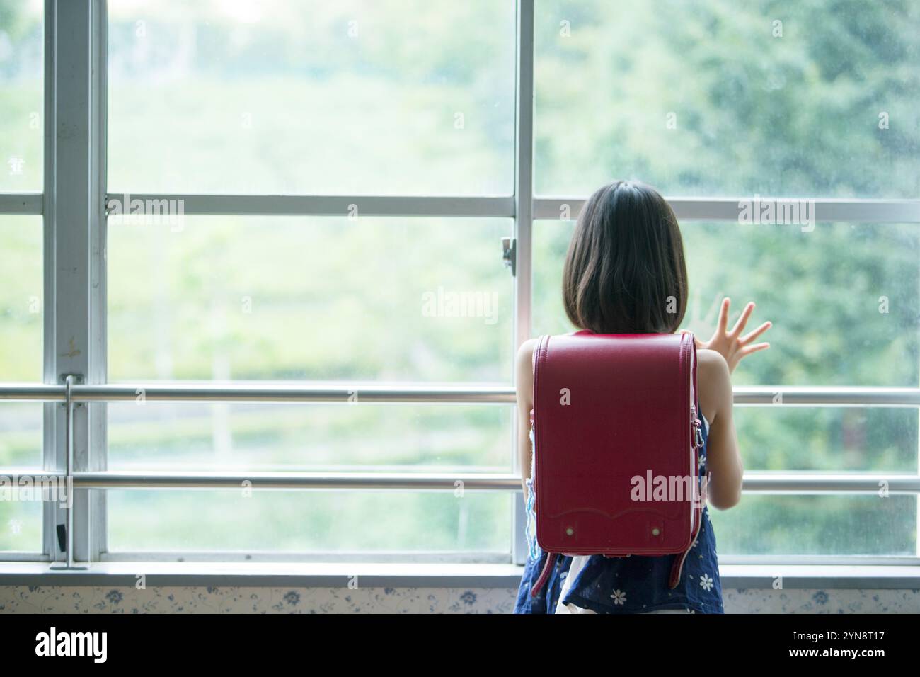 Back view of elementary school girls looking outside Stock Photo - Alamy