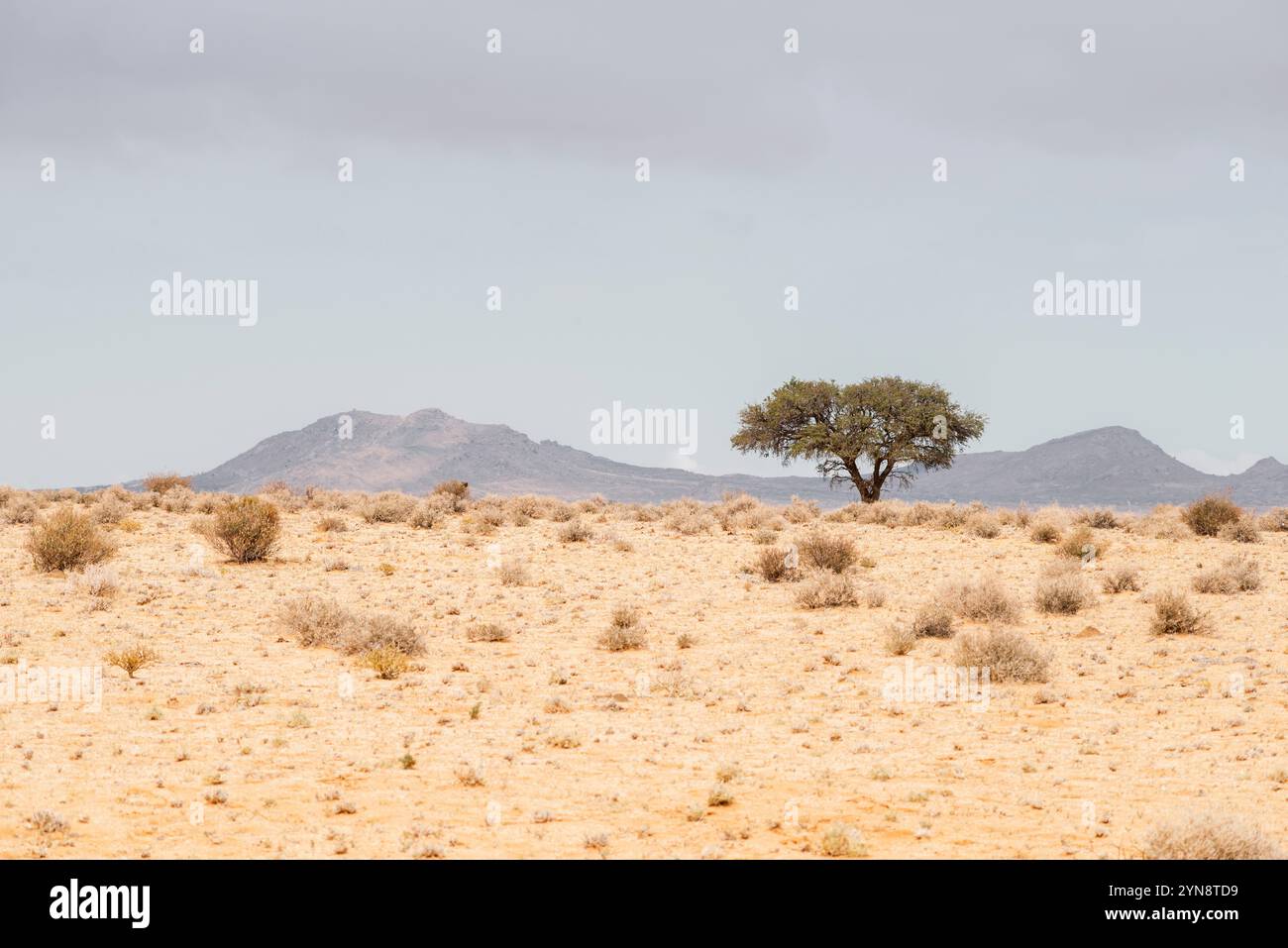 Namibia landscape hi-res stock photography and images - Alamy