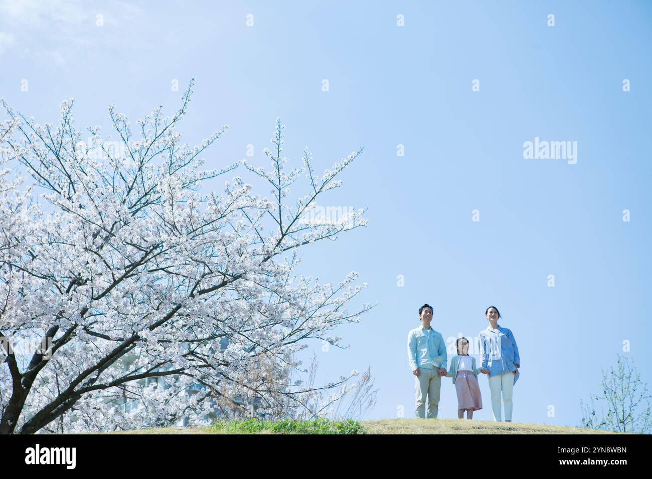 Happy family standing under a cherry tree Stock Photo - Alamy