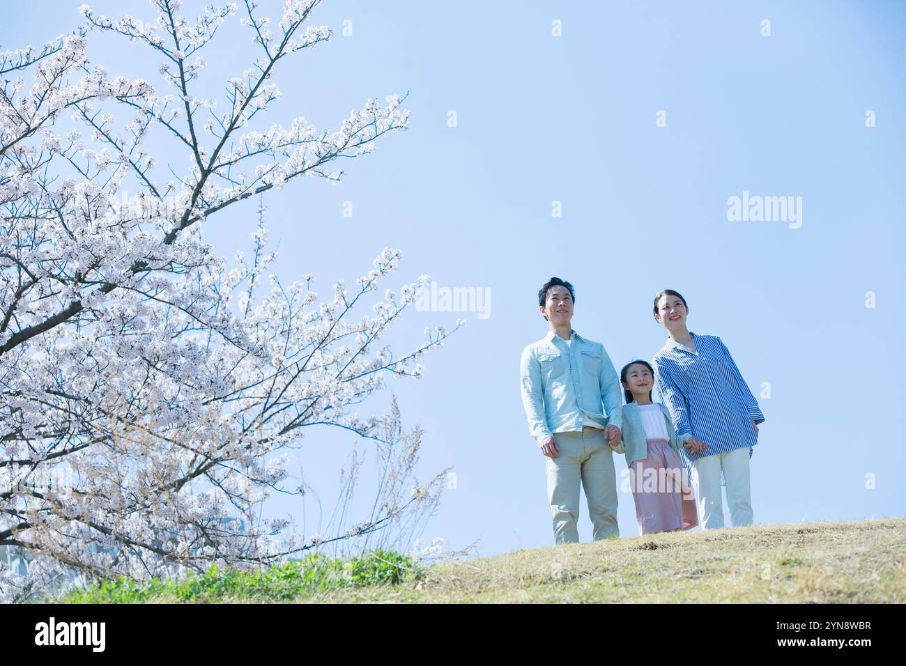 Happy family standing under a cherry tree Stock Photo - Alamy
