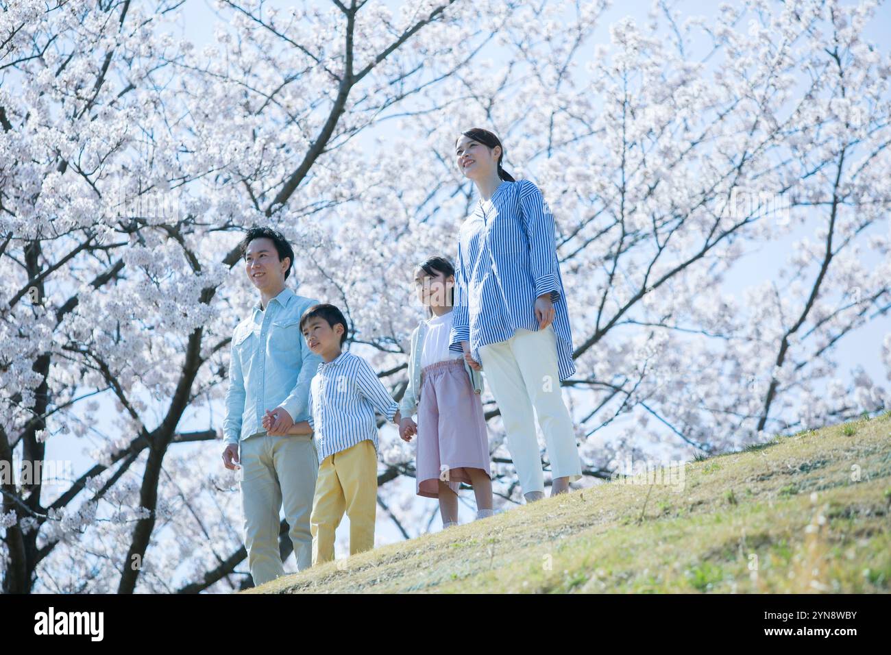 Happy family standing under a cherry tree Stock Photo - Alamy