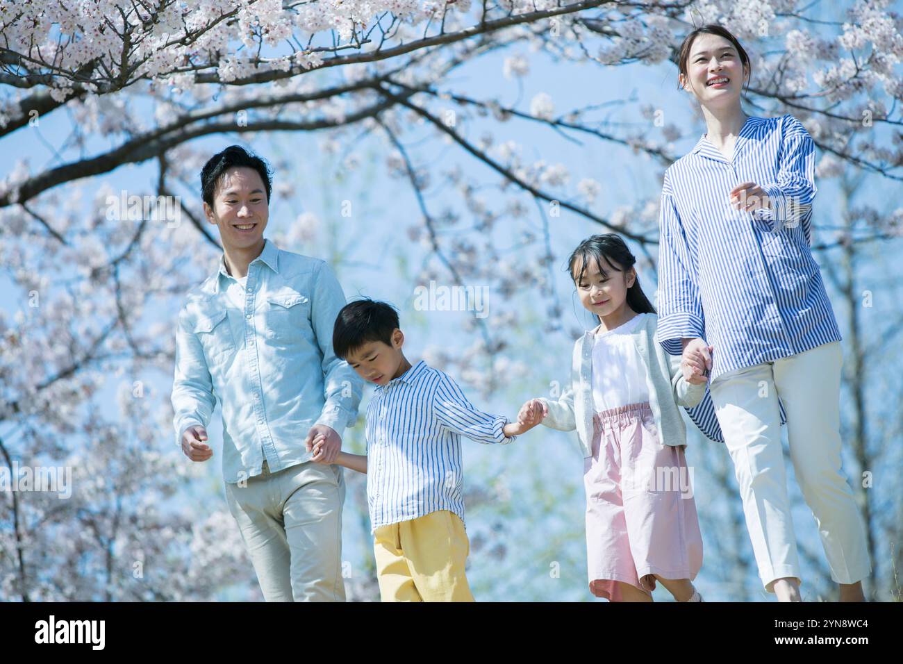 Woman child under cherry hi-res stock photography and images - Alamy