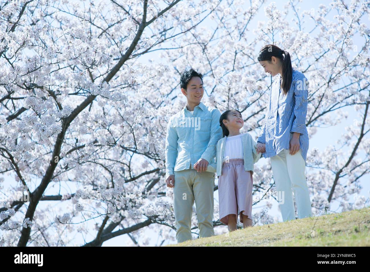 Happy family standing under a cherry tree Stock Photo - Alamy