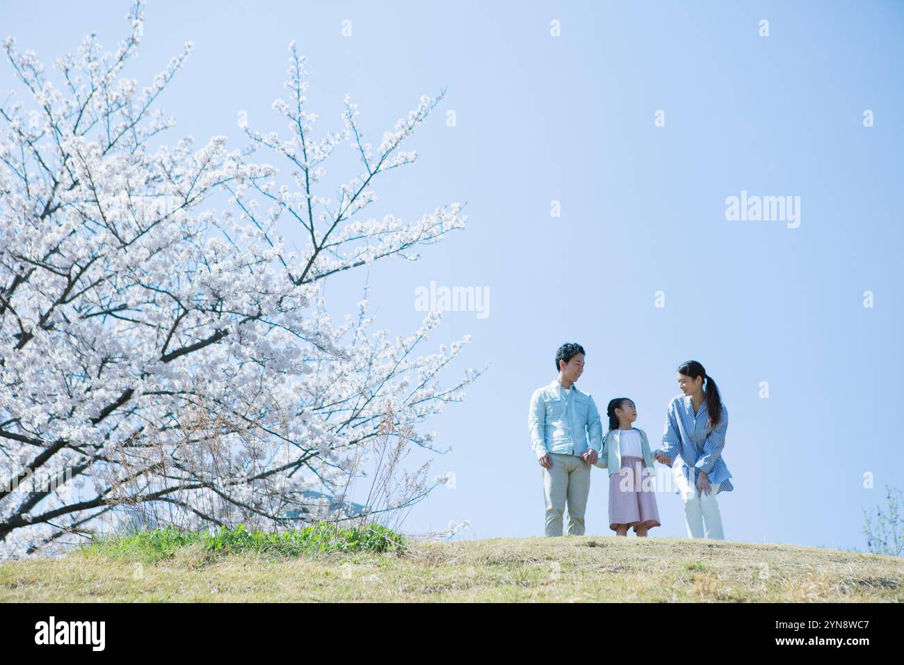 Woman child under cherry hi-res stock photography and images - Alamy
