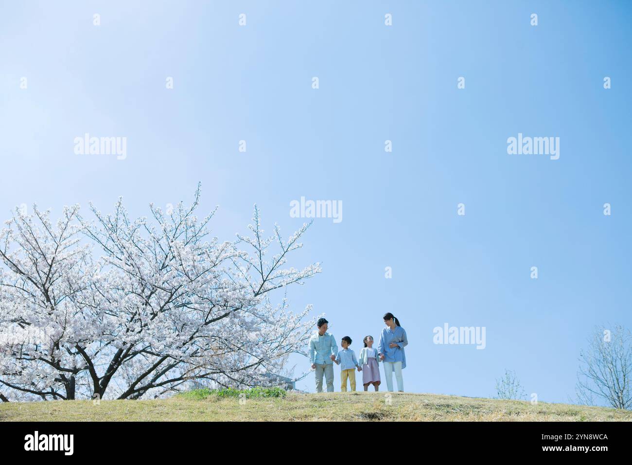 Woman child under cherry hi-res stock photography and images - Alamy