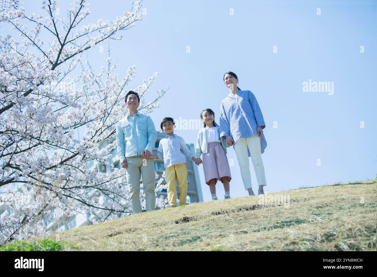 Woman child under cherry hi-res stock photography and images - Alamy