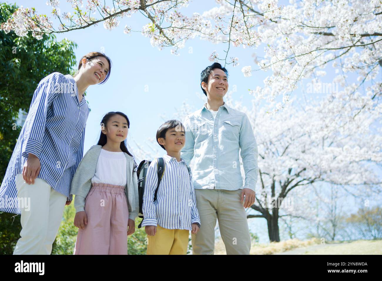 Happy family standing under a cherry tree Stock Photo - Alamy