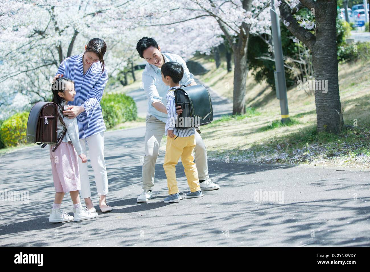 Portrait of a happy family standing under a cherry blossom tree Stock ...