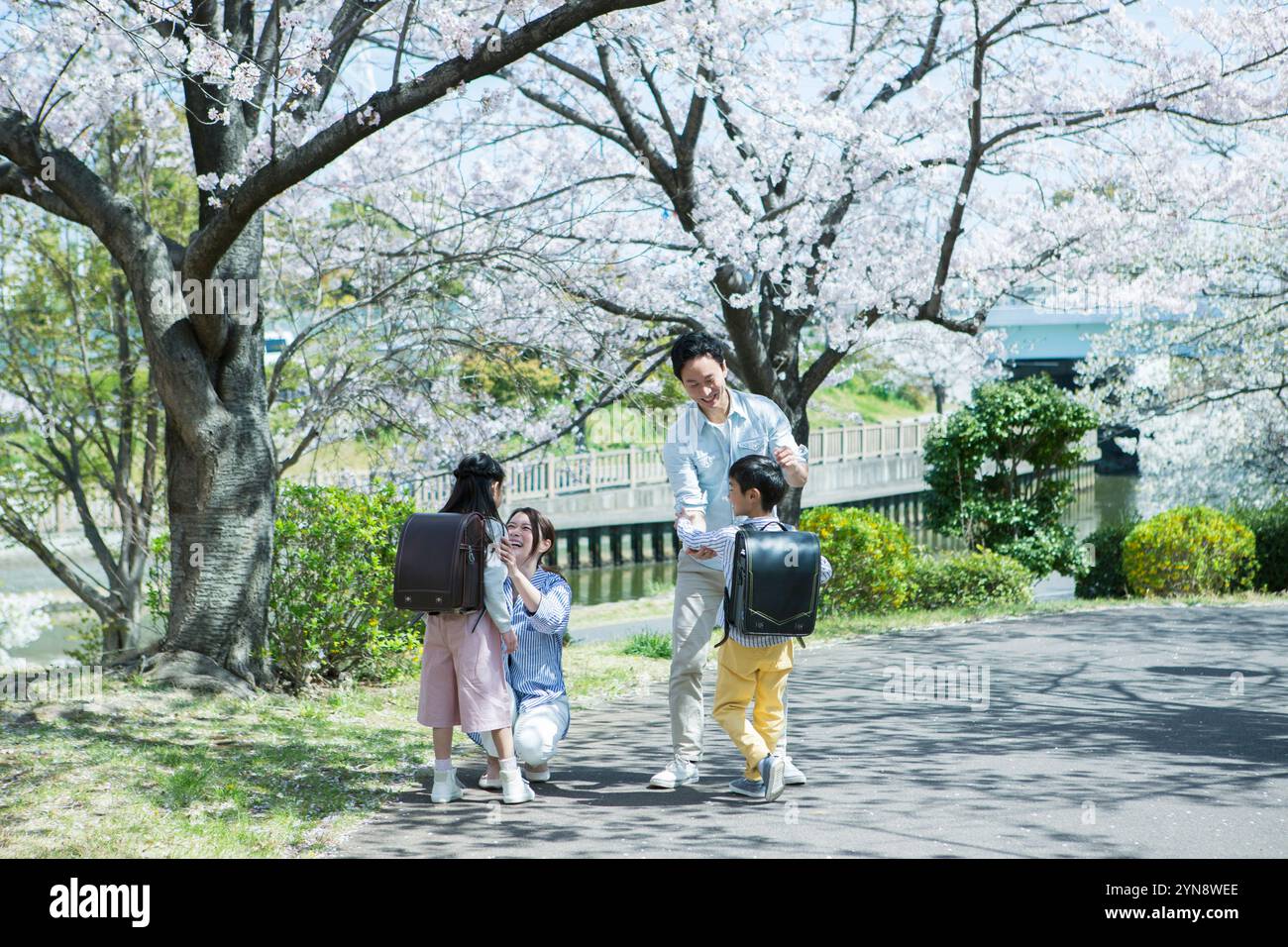 Happy family standing under a cherry tree Stock Photo - Alamy