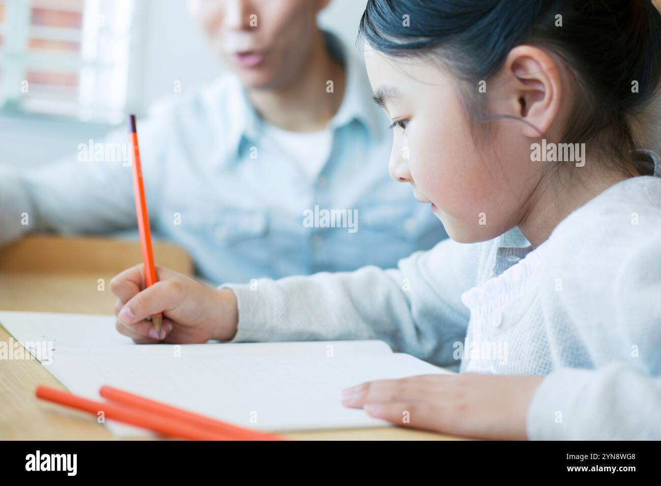 Girl holding pencil and studying Stock Photo - Alamy