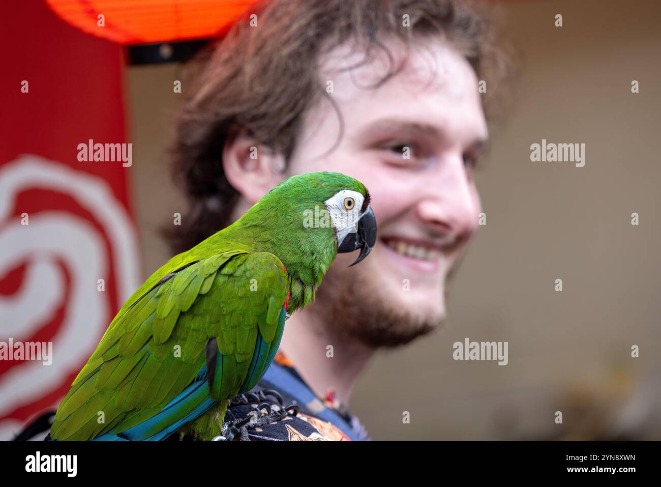 Japanese red parrot hi-res stock photography and images - Alamy