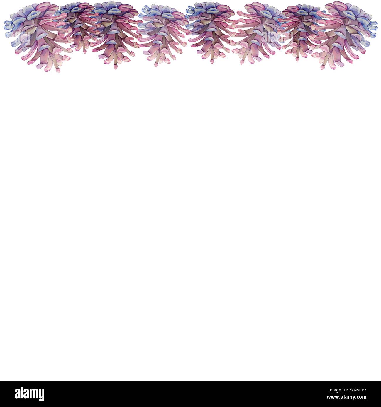 Watercolor pine cone Cut Out Stock Images & Pictures - Alamy