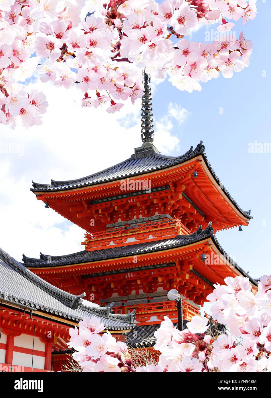 Ancient pavilion and blooming sakura branches in Fushimi Inari shrine ...