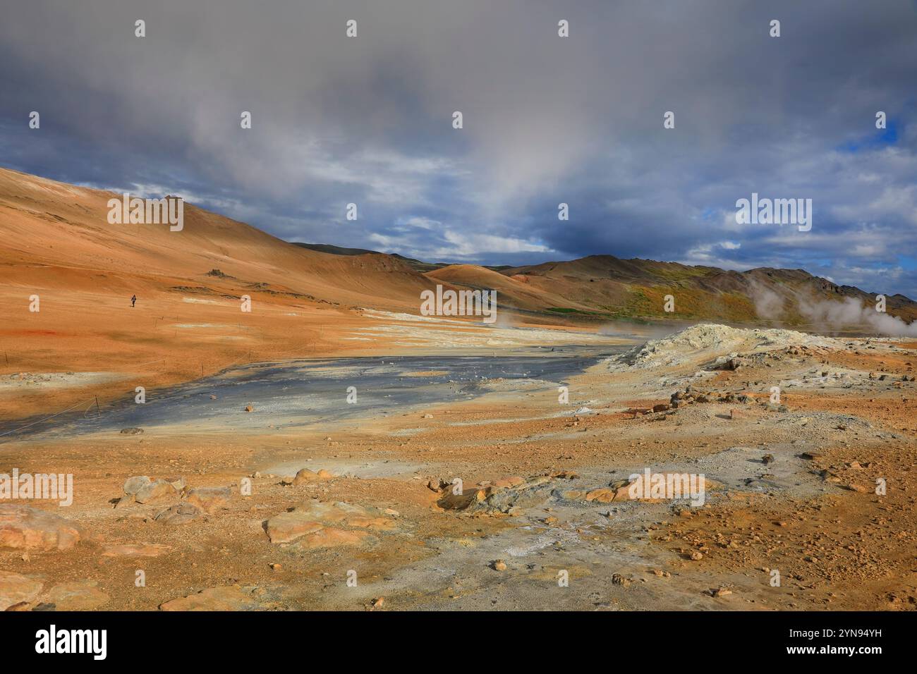 Fumaroles with volcanic boiling mud pots surrounded by sulfur hot ...