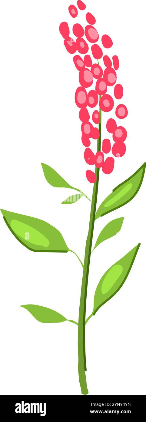 leaf flower branch cartoon vector illustration Stock Vector Image & Art ...